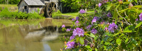 Mabry Mill - 15 tips from 456 visitors