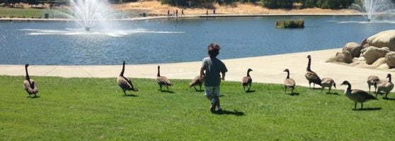 Heather Farm Park - Park