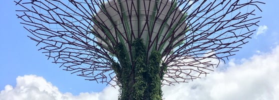Supertree Grove - Garden