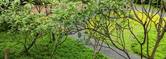 NUH Kent Ridge Wing - Central Region - 7 tips