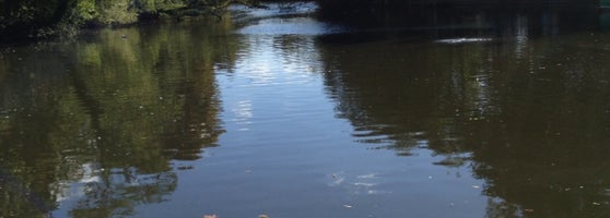 Tooting Bec Common - Park in London