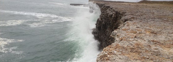 Wilder Ranch State Park - 10 tips from 1594 visitors