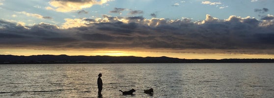 Pt Chevalier Beach - Beach in Point Chevalier