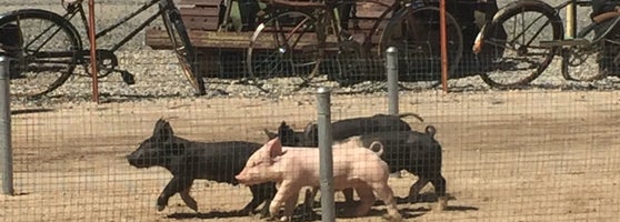 Peltzer Farms - 39925 Calle Contento