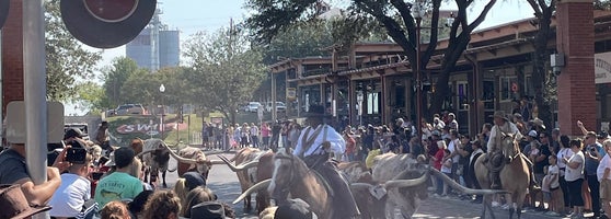 Stockyard Cattle Drive - 18 tips