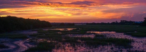 Joseph P Riley Jr Park - Baseball Stadium in Charleston
