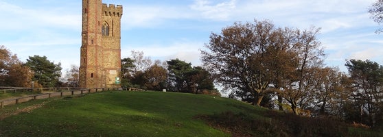 Leith Hill Tower - Scenic Lookout