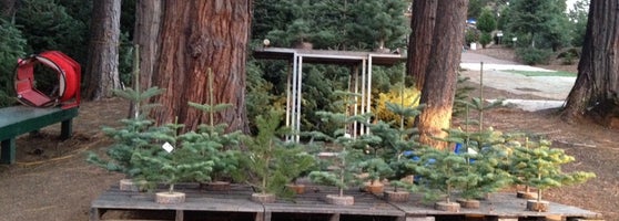 Indian Rock Tree Farm - Camino, CA