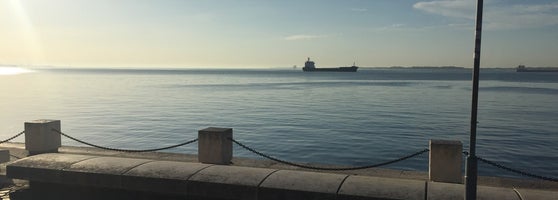 Porto de Setúbal - Harbor or Marina in Setúbal