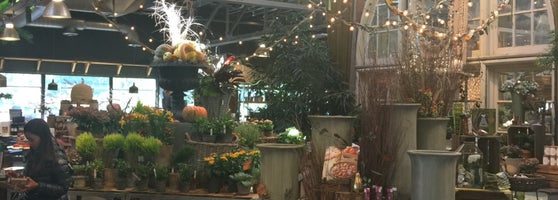 terrain - Flower Store