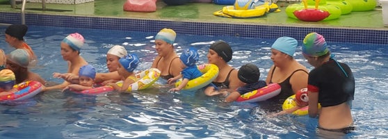 Academia de Natacion Los Delfines Azules - Gym Pool