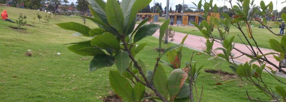 Parque Metropolitano El Tunal - Park in Bogotá