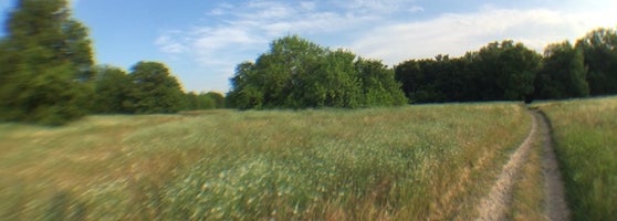 Rowlett Creek Preserve Mountain Bike Trail - Garland, TX