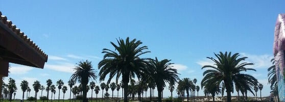 Oxnard Beach Park - Oxnard Shores - 8 tips from 767 visitors