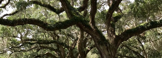 Boone Hall Plantation - Museum