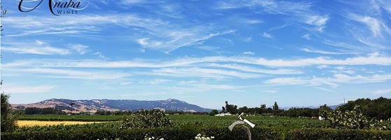 Anaba Wines - 22 tips