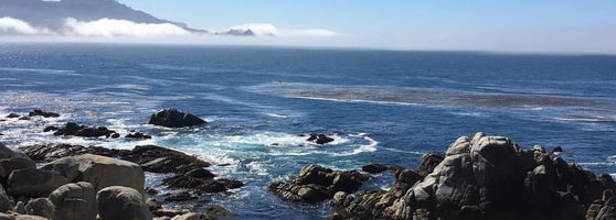 Pescadero Point - 4 tips from 1208 visitors