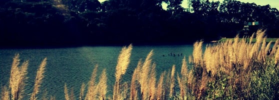 Parque Cidade de Toronto - São Domingos - São Paulo, SP