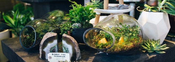 Sprout Home - West Town - 15 tips from 860 visitors