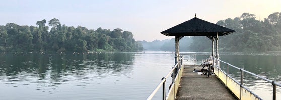 MacRitchie Reservoir Park - Central Catchment Nature Reserve - 62 tips
