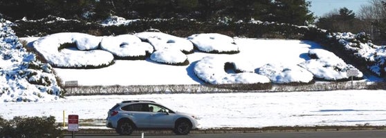 Welcome to Cape Cod Sign - 7 tips