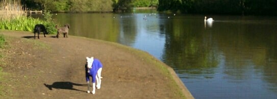 Tooting Bec Common - Park in London