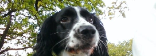 Tooting Bec Common - Park in London