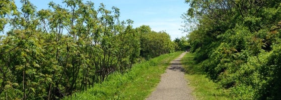 Eastern Promenade Trail - Hiking Trail in Downtown Portland