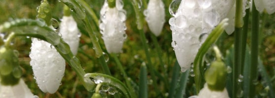 Chirk Castle - Historic and Protected Site