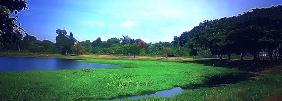 Slim River - 27 tips from 5007 visitors