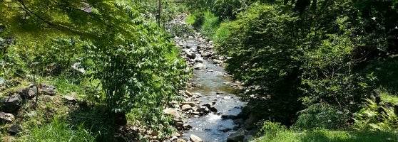 Parque Lineal La Presidenta - El Poblado - 22 tips from 716 visitors