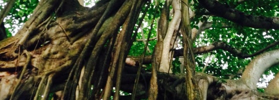 LEGOLAND® Florida - Amusement Park