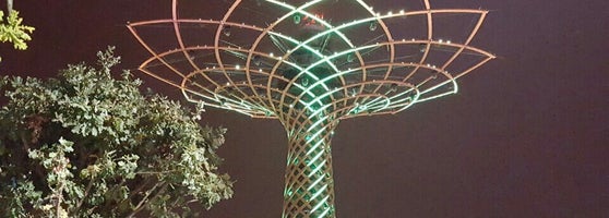 Albero della Vita - Zona 8 - Lake Arena