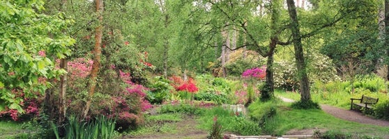 Tilgate Park - 21 tips