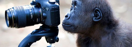 Studi Fotografici Professionali Roma - Ludovisi - Roma, Lazio