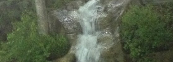 Timber Falls Adventure Park - Amusement Park