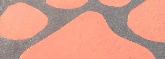 Chimney Ridge of Clemson - 1 tip