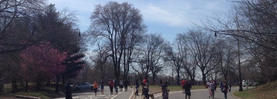 Prospect Park Loop - Track in Prospect Park