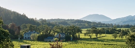 Harvest Inn - 18 tips