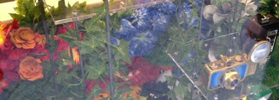 Lomography Gallery Store Madrid-Argensola - Camera Store in Madrid