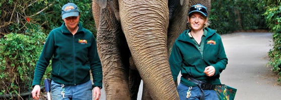 Perth Zoo - 54 tips from 2249 visitors