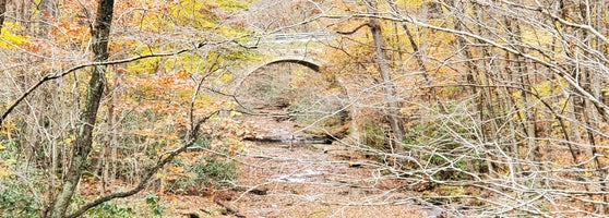 Cucumber Falls - Waterfall