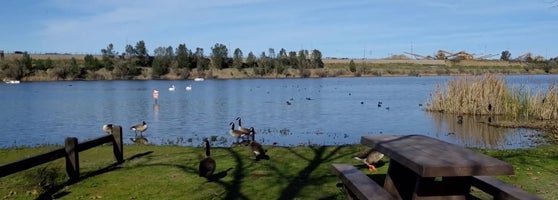 Shadow Cliffs Regional Recreation Area - Pleasanton, CA