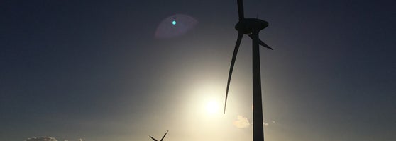 Albany Wind Farm - 5 tips from 306 visitors
