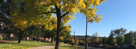 City of Lone Tree - 16 tips from 1827 visitors