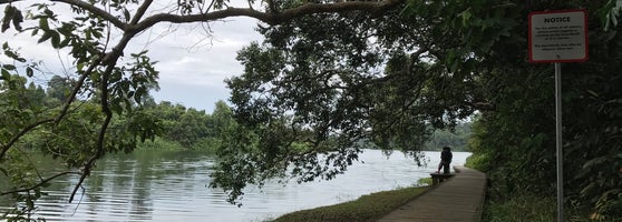 MacRitchie Reservoir Park - Central Catchment Nature Reserve - 62 tips