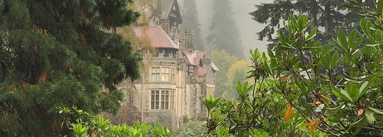 Cragside Visitors Centre - Scenic Lookout in Rothbury