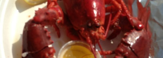 Menemsha Fish Market - 14 tips from 541 visitors