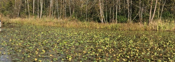 Cuyahoga Valley National Park - Beaver Marsh - Peninsula, OH