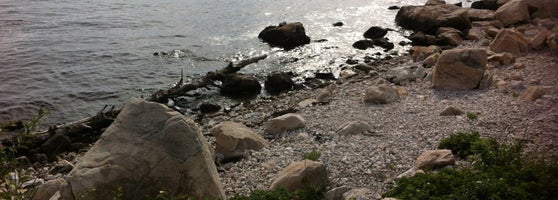 Bluff Point State Park - 23 tips